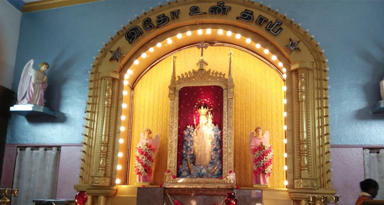 Annai Vailankanni Shrine Chennai (Timings, History, Entry Fee, Images ...