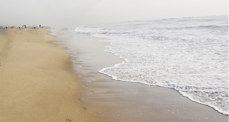 Edward Elliot's Beach Chennai (Timings, History, Entry Fee, Images & Information) - Chennai Tourism