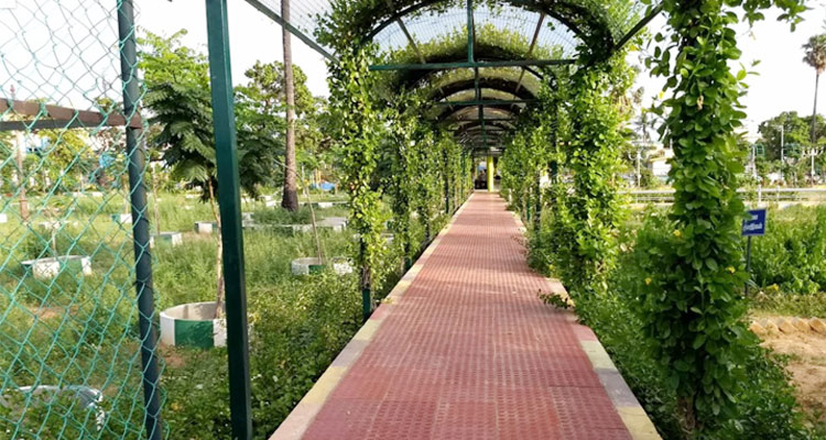 Mathur MMDA Park Chennai (Timings, History, Entry Fee, Images ...